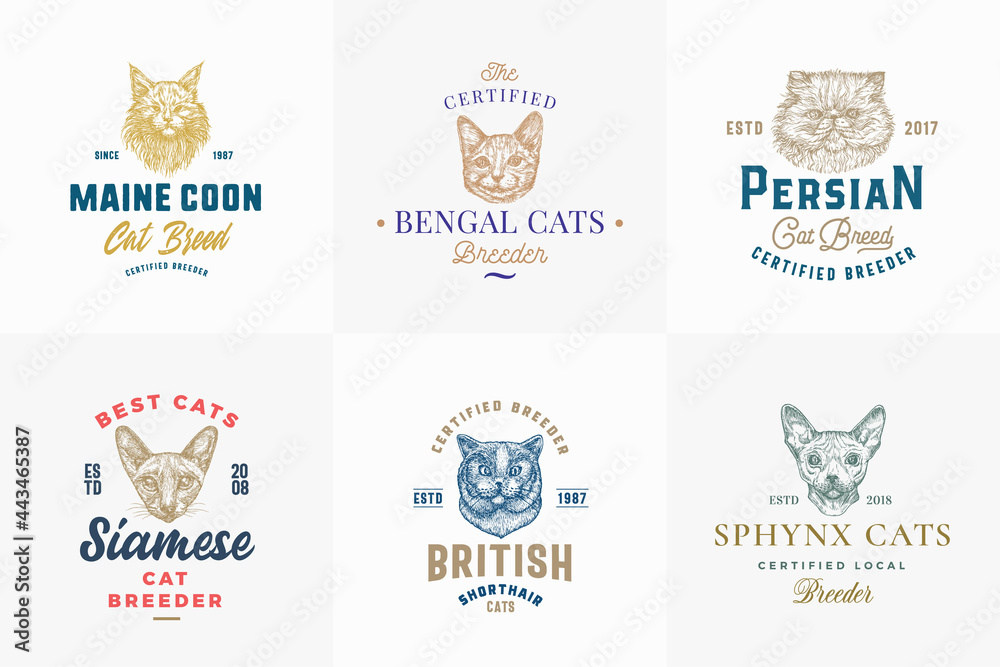 Cat Breeds Badges or Logo Templates Collection. Hand Drawn Sphynx ...