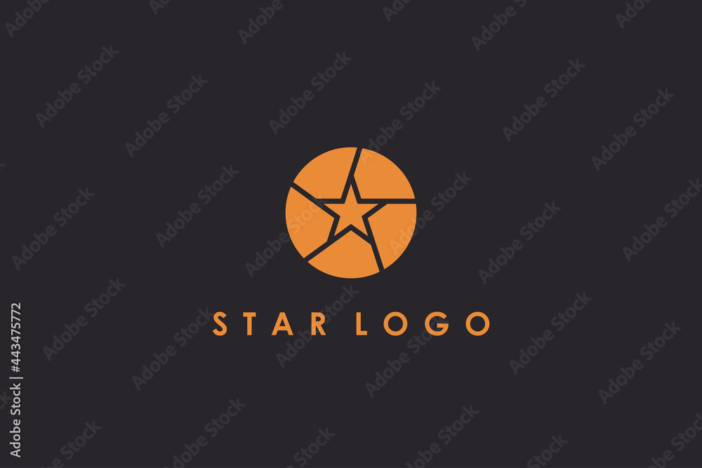 Circle Star Logo. Vintage Star Icon with Geometric Radial Rays of ...