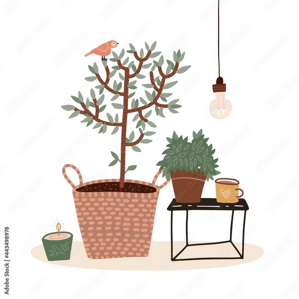 Pastel color composition with small potted tree, hot beverage in mug ...