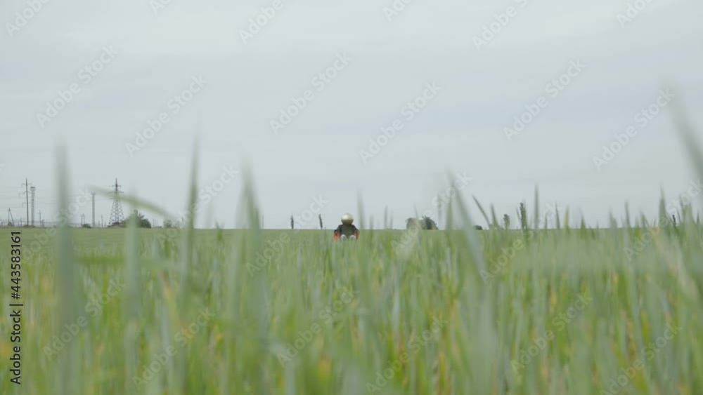 camera pans out of a green field of grass. a mystical character in a ...