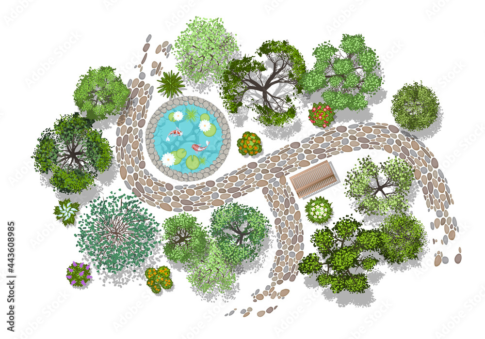 Vector illustration. Landscape design. Top view. Pond, path, trees and ...