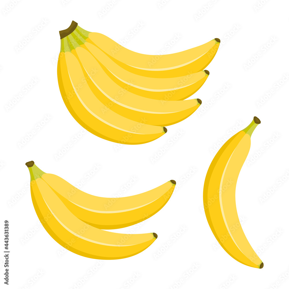 Set of fresh bananas. One, two, and a bunch of bananas. Isolated vector illustration on white ...