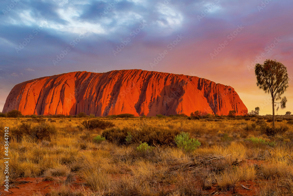 Uluru, Australia - Changing colour at sunset of Uluru, the famous ...