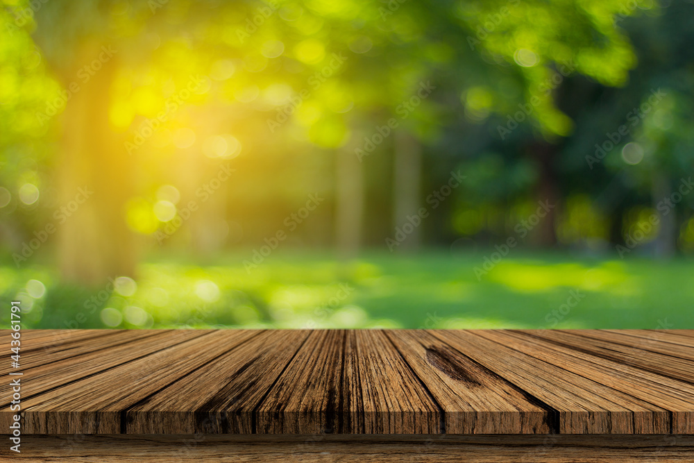 Wood floor with blurred trees of nature park background and summer ...