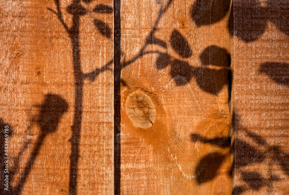 Brown Wood wall plank texture background with light and shadow of ...