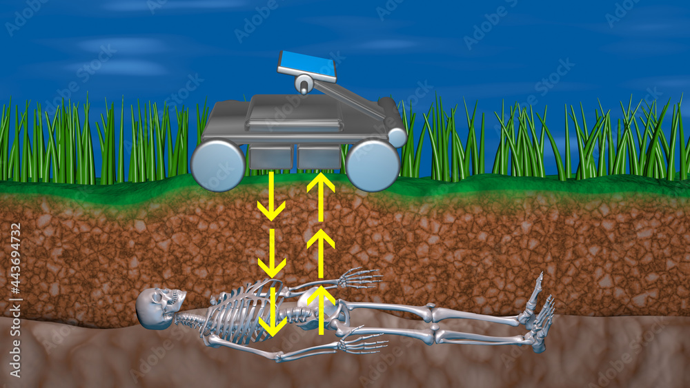 Ground penetrating radar finds human cadaver. GPR detects skeletal ...