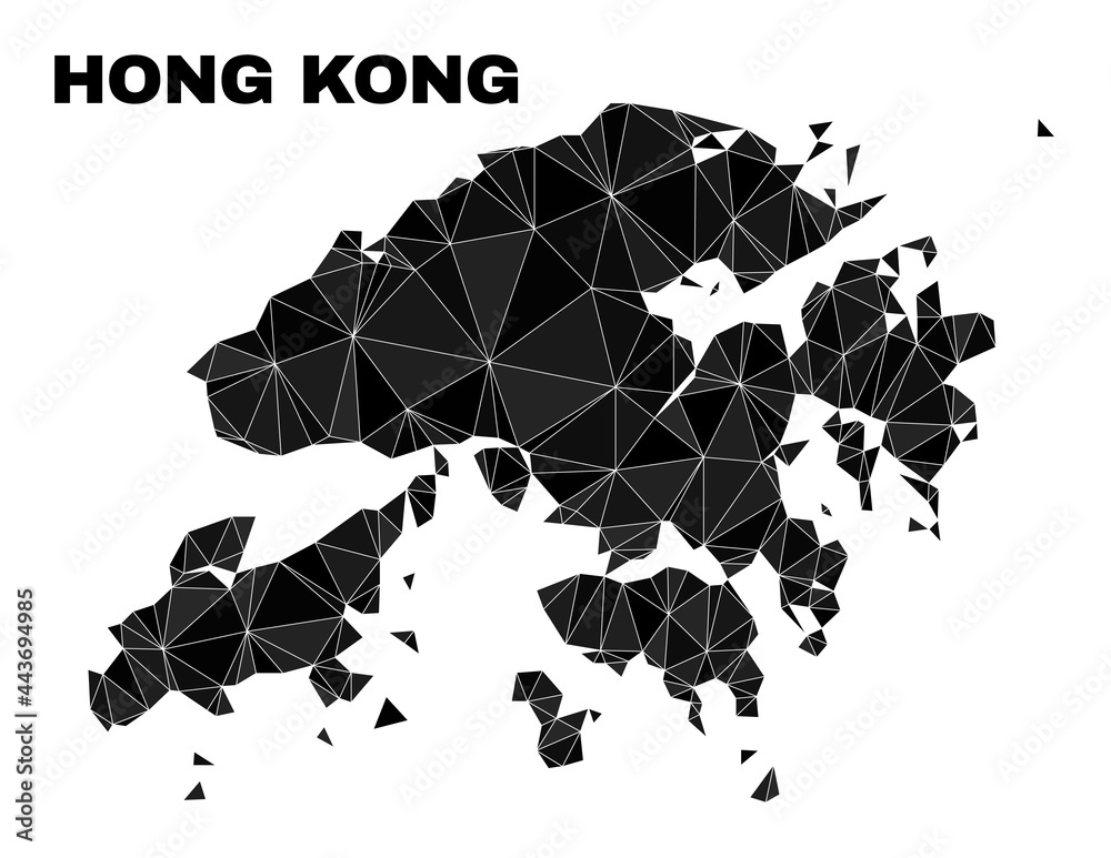 Low-poly Hong Kong map. Polygonal Hong Kong map vector designed with ...
