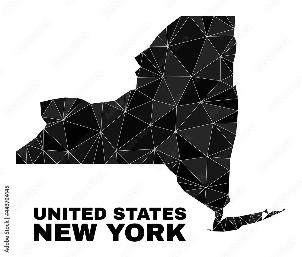 Vetor de lowpoly New York State map. Polygonal New York State map ...