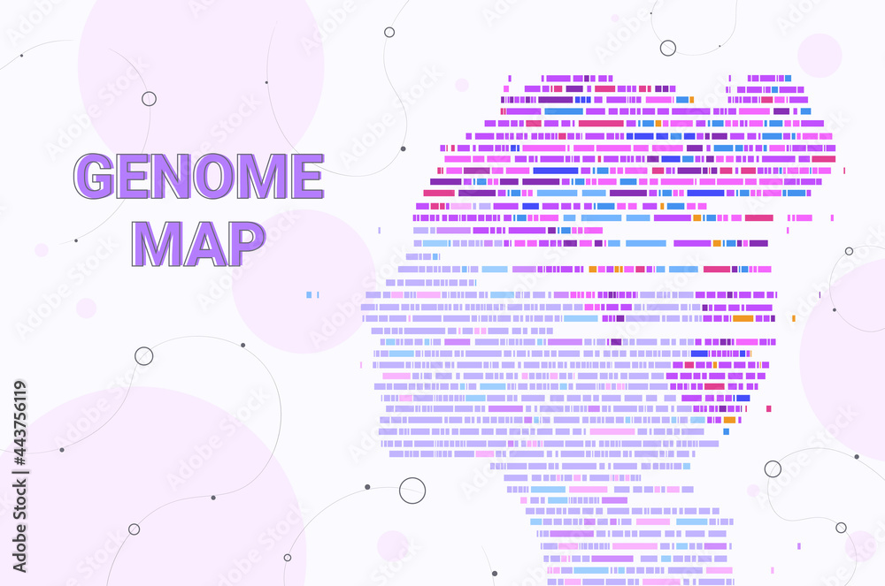 big genomic data with woman face genome sequence map horizontal Stock ...