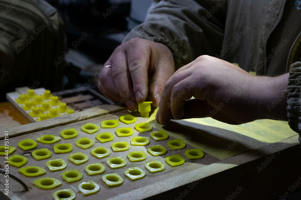 Breeding of bees, raising of queen bees. Honey production. Stock Photo ...