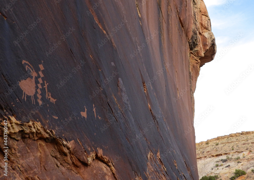 ancient native american petroglyphs depicting a dog, big horn sheep ...