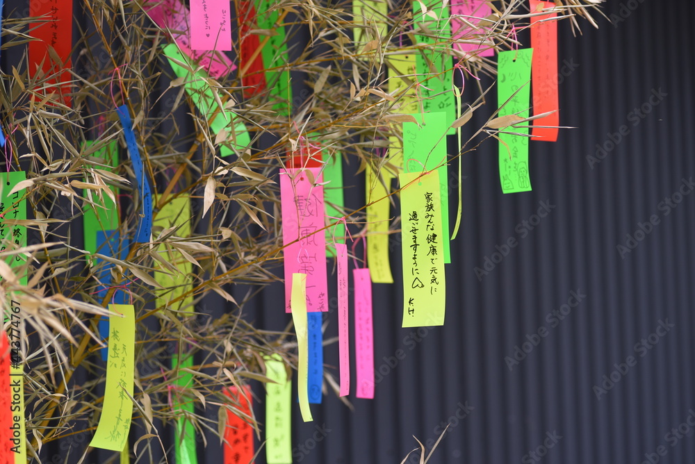 Japanese Tanabata Festival is held on July 7th every year, People write ...