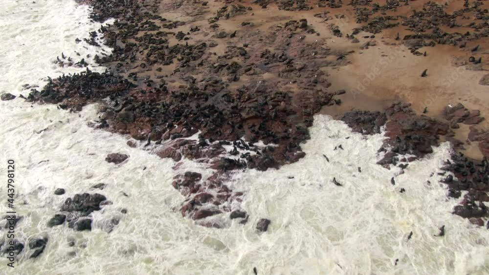 Aerial view of thousands of seals at the Cape Cross Seal Reserve on the ...