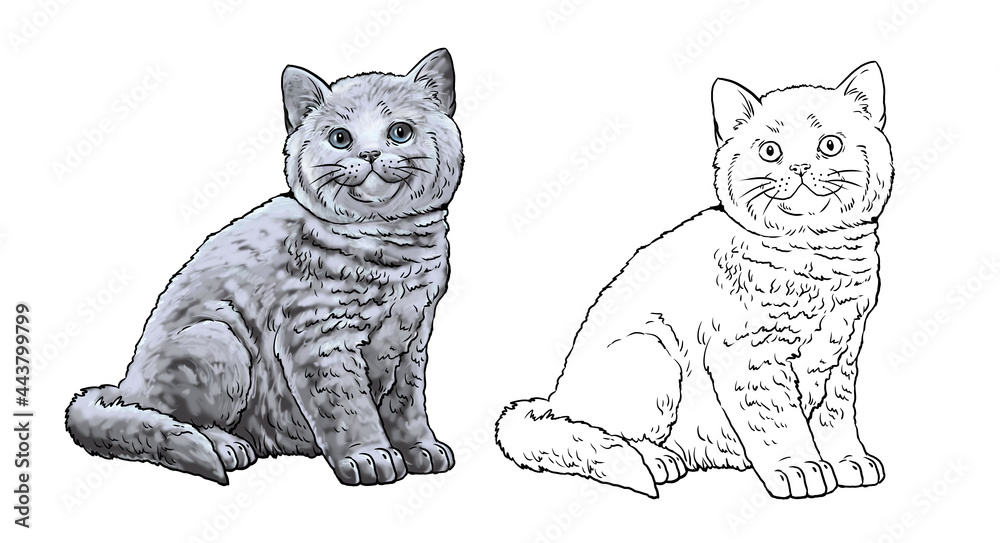 Cute kittens for coloring. Template for a coloring book with little ...