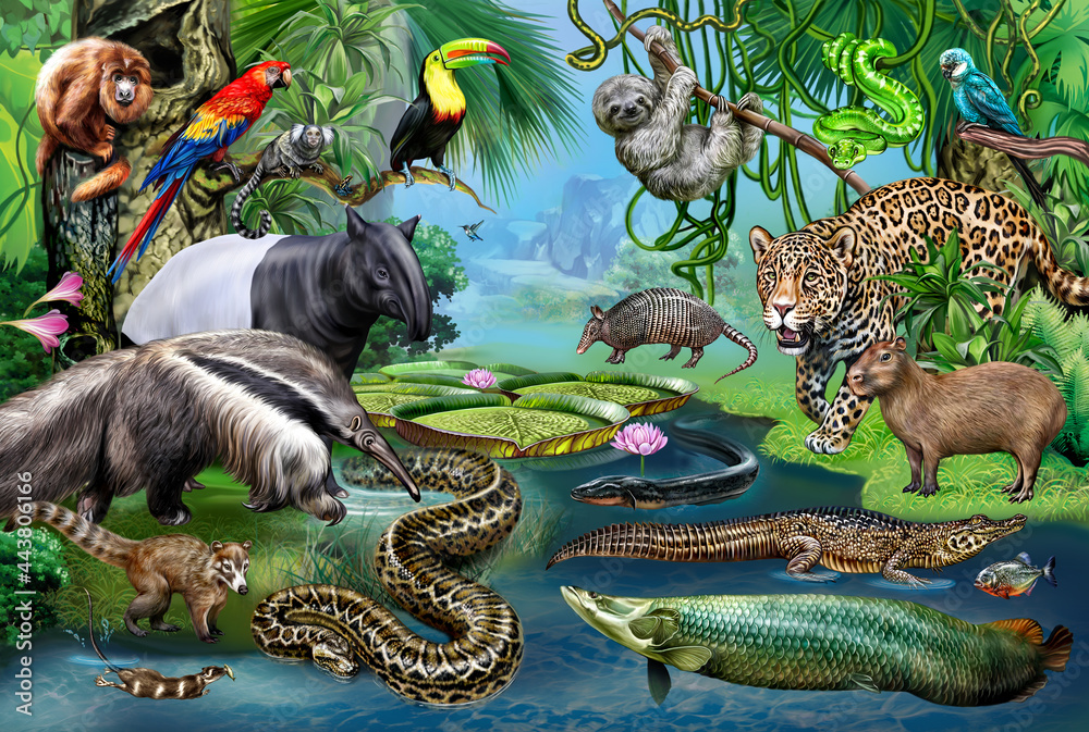 Animals of the Amazon Stock Illustration | Adobe Stock