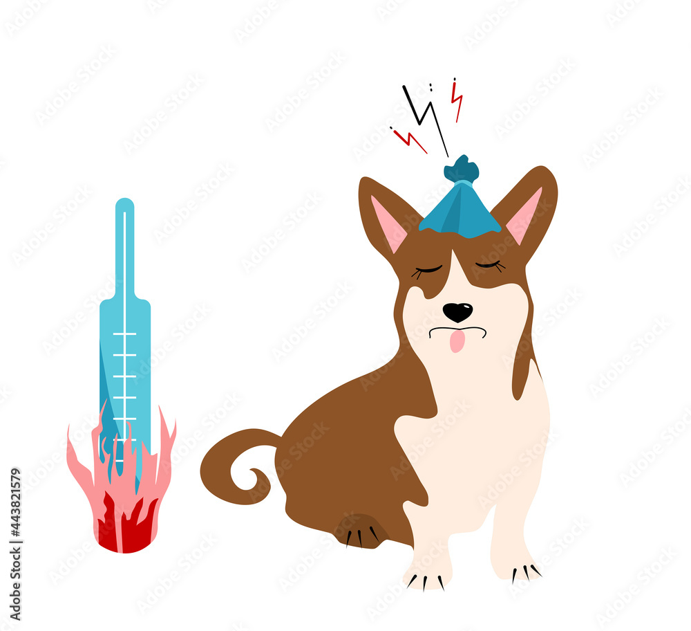 Dog`s fever symptoms.Infographic icons with thermometer.High ...