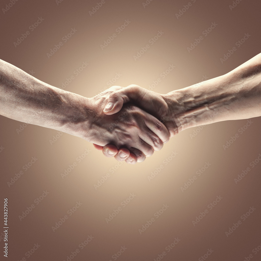 Strong male handshake. Stock Photo | Adobe Stock