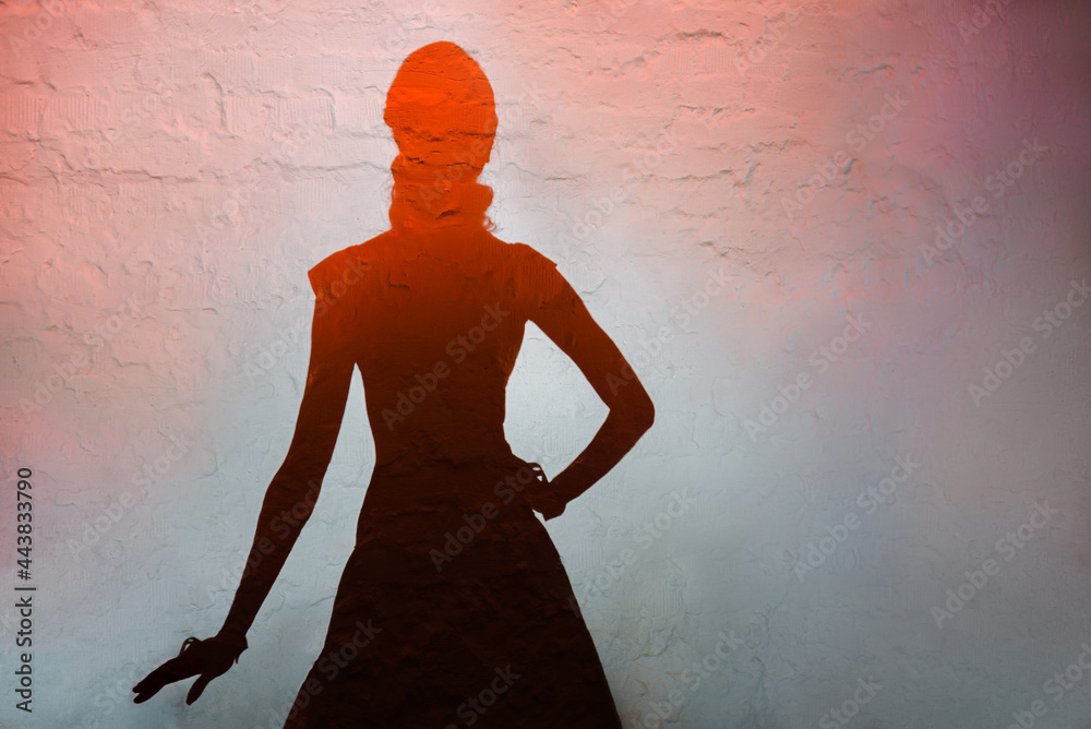 Shade of beautiful elegant woman posing in spotlight during fashion ...