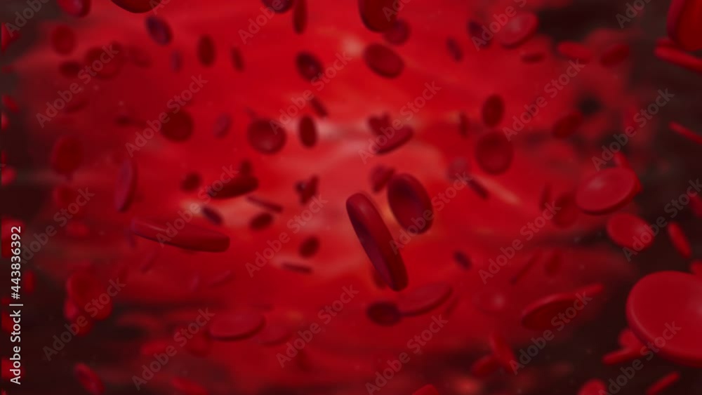Stockvideon Realistic animation. red blood cells in an artery, flow ...