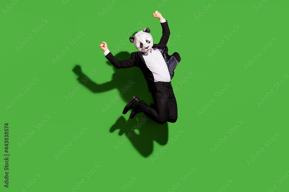 Full length body size view of classy man wearing panda mask jumping ...