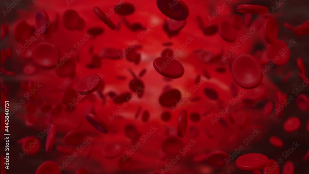 Realistic animation. red blood cells in an artery, flow inside body ...