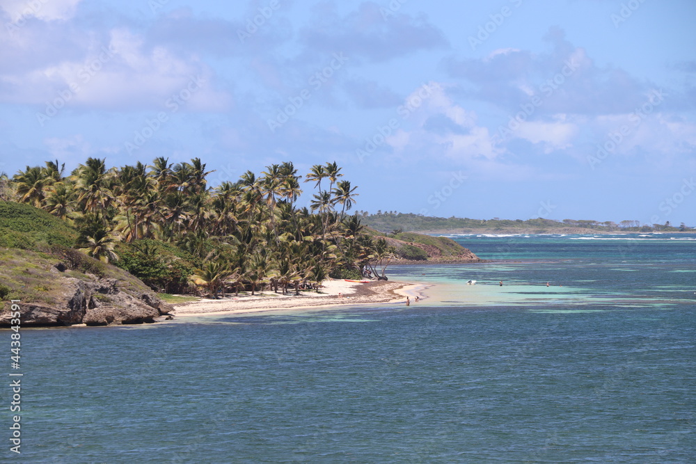 Plage Paradisiaque Ilet Chevalier Martinique Antilles Françaises Stock ...