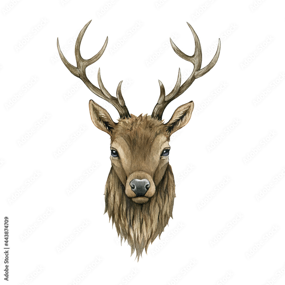 Deer Head Front