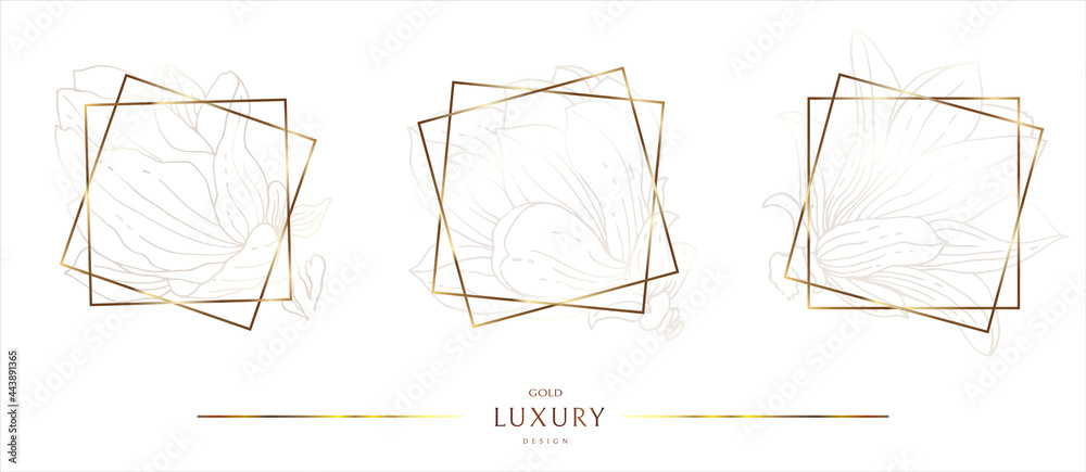 Set of geometric gold frames with buds. Shiny gold around the edges ...