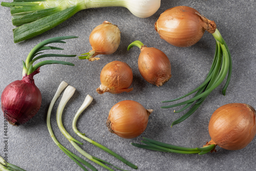 onions of different colors and sizes on gray table, top view. Food ...