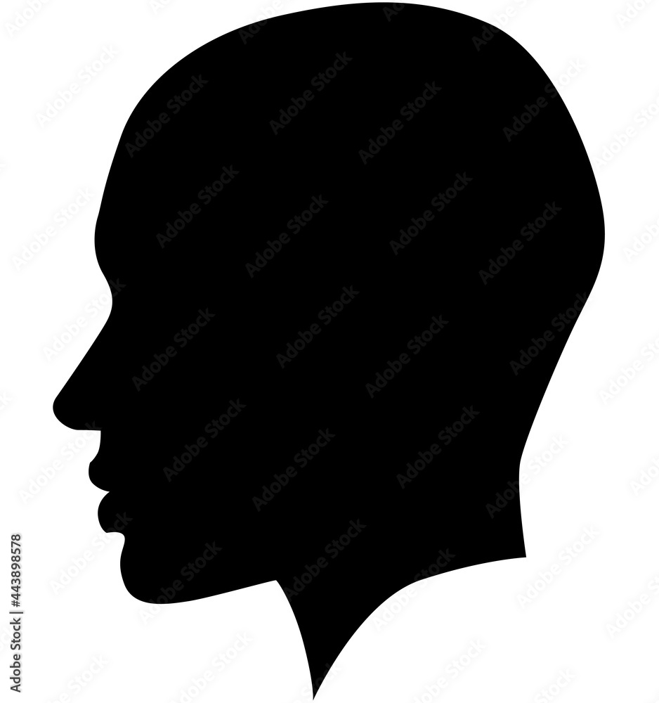 Profile picture of a European white young beautiful woman. Girl from ...