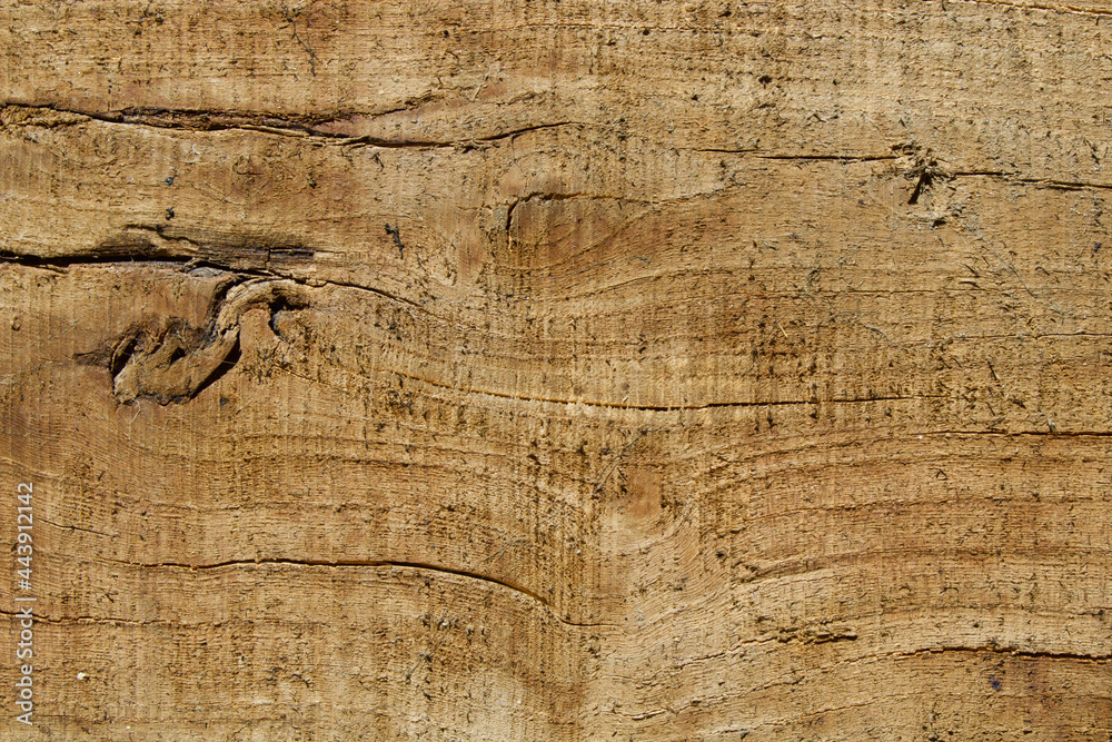 Wood texture background with veins and knots Stock Photo | Adobe Stock