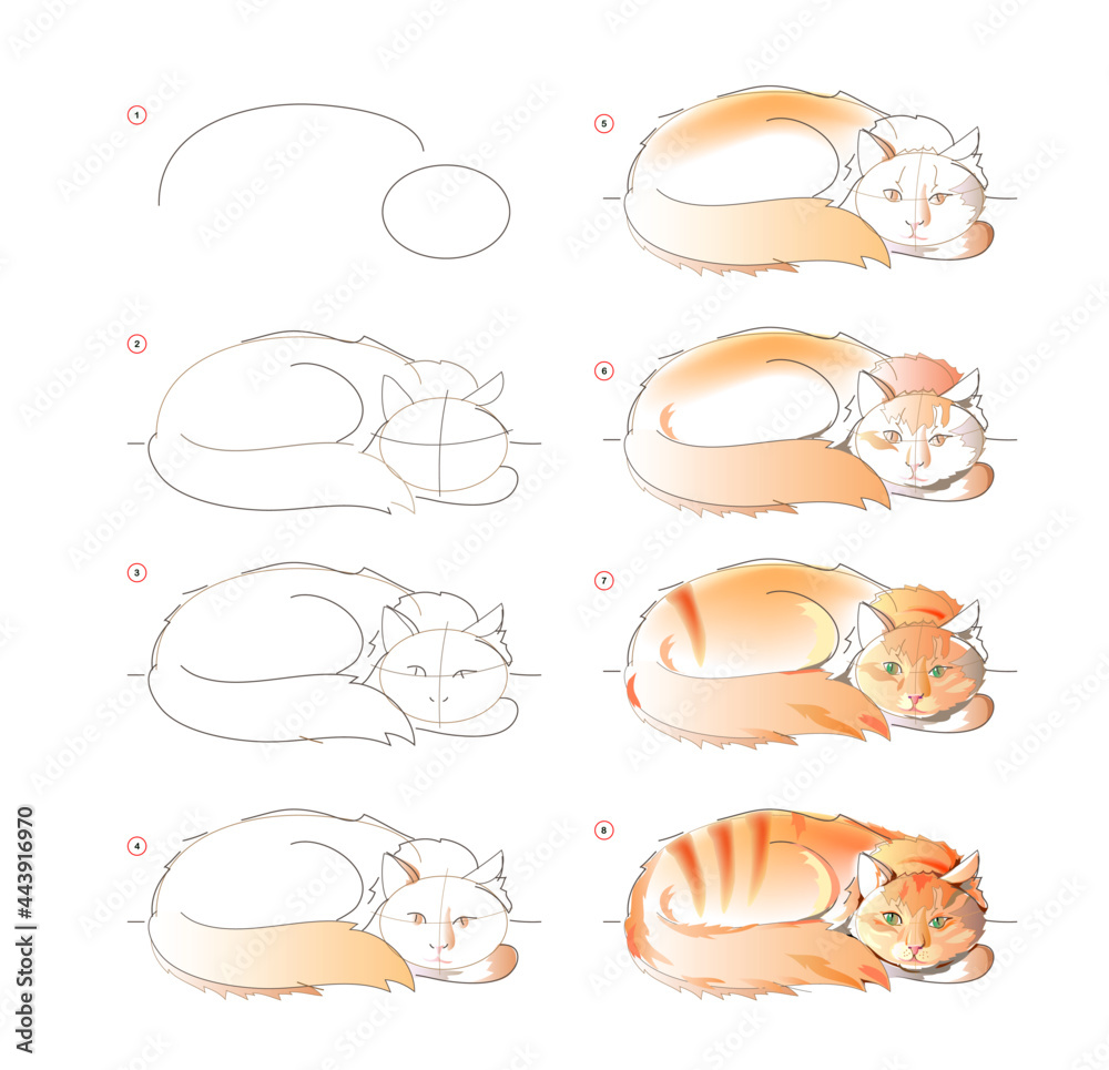 How to learn to draw sketch of cute sleeping ginger cat. Creation step ...