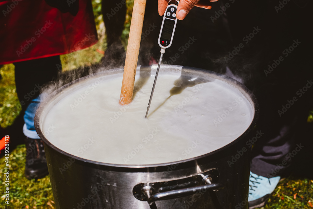 Controlling with termometer boiling milk for ricotta Stock Photo ...
