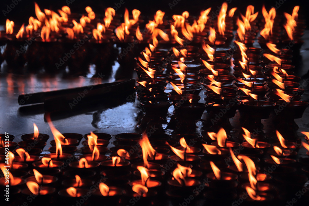Tibetan butter lamps in a Buddhist temple Stock Photo | Adobe Stock