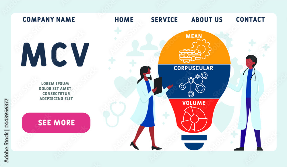 Vector website design template . MCV - Mean Corpuscular Volume acronym ...