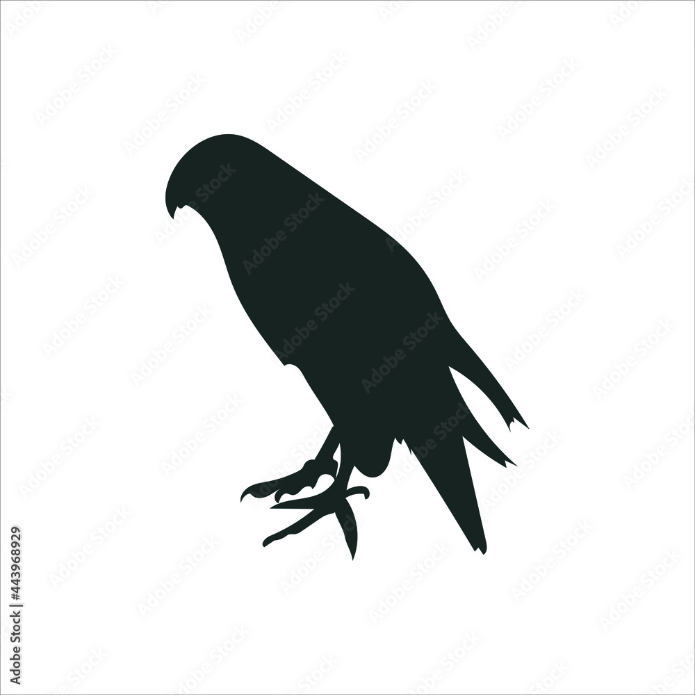 Falcon Vector Silhouette isolated on white background Stock Vector ...