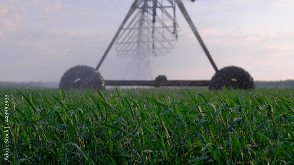 Modern automated agriculture system with Large irrigation sprinklers ...
