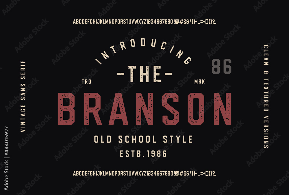The Branson. Sans Serif Octagonal Font. Clean & Textured Version ...