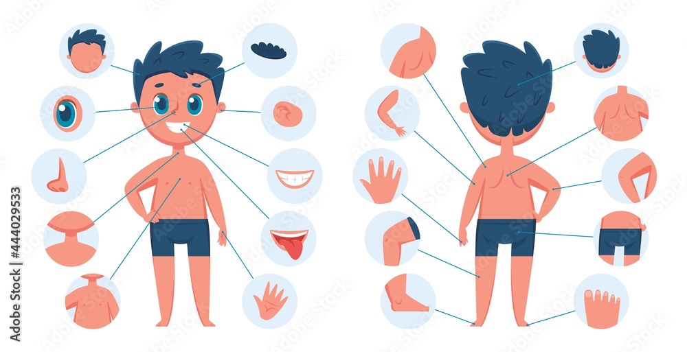 Boy body parts. Child body part anatomy education for children ...