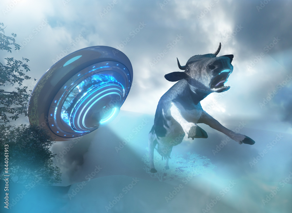 Cow abducted by a UFO on the farm pulling of the alien spacecraft ...