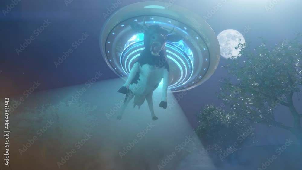 Cow abducted by a UFO on the farm pulling of the alien spacecraft ...