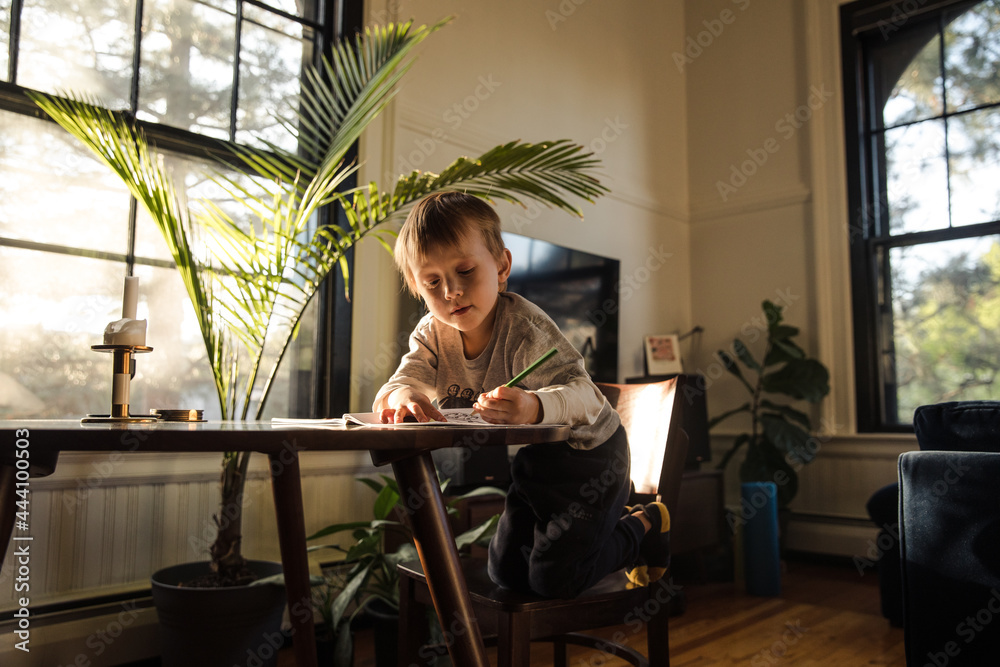Little boy drawing during sunset Stock Photo | Adobe Stock
