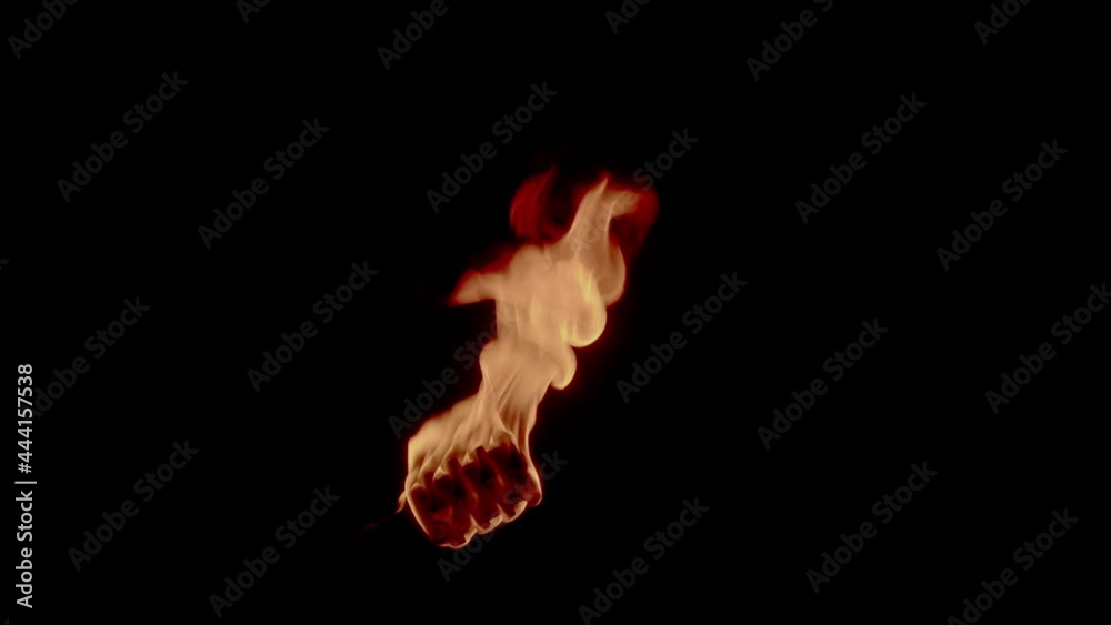 Wooden fire torch flaming in wild dark black background - reliant guide ...