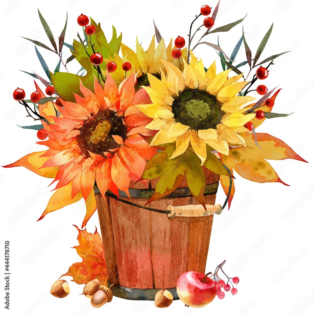 Watercolor Fall Sunflower , rustic clipart. Autumn Harvest Clip Art ...