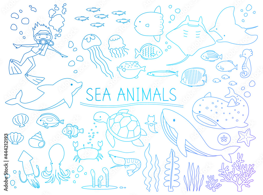 Sea animals line drawing vector illustration set. Stock Vector | Adobe ...
