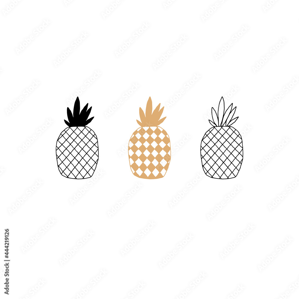 Vector hand drawn illustration, simple pineapple icons. Summer fruits ...