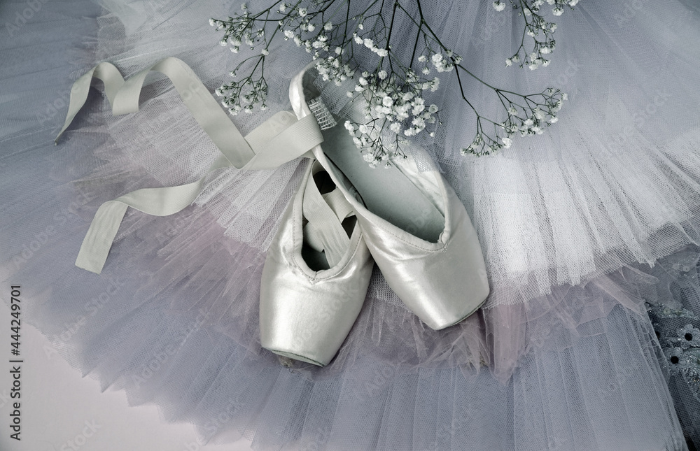 Ballet Shoes Tumblr
