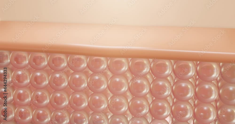 3d Animation Serum through the skin cells for repair wrinkles. Skin ...