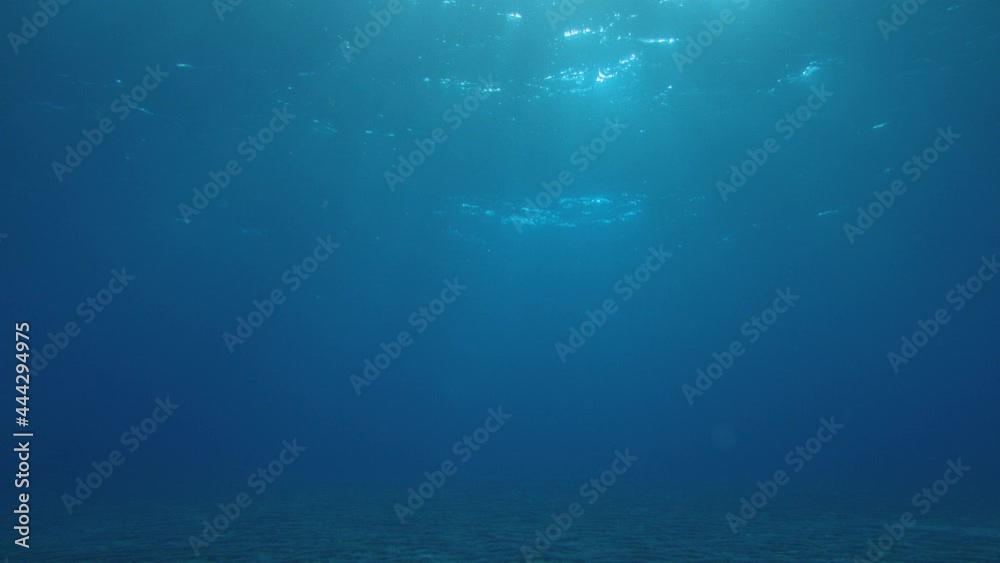 Underwater Godrays effect. Sun beams penetrating wavy ocean surface ...