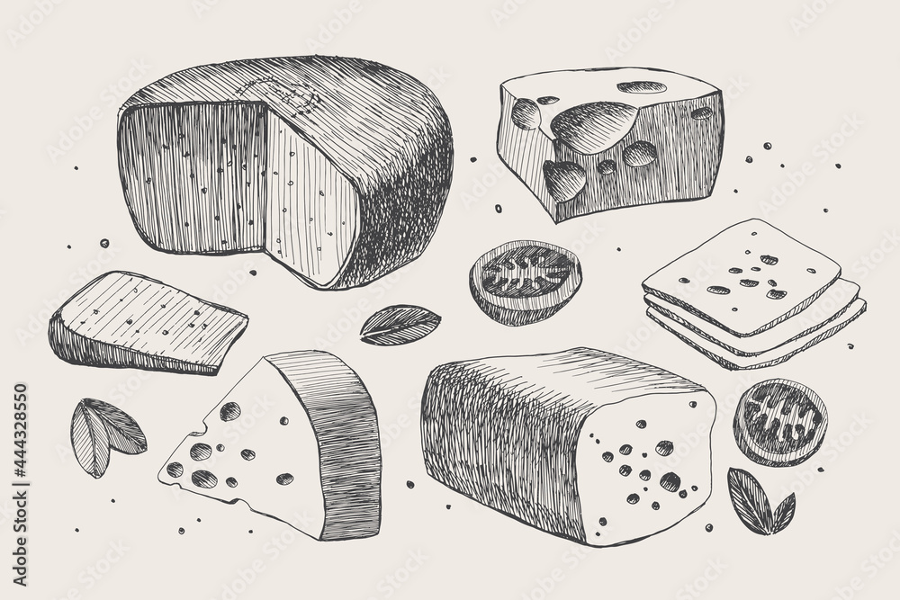 Set of hand-drawn hard cheeses on light background. Maasdam, smoked ...